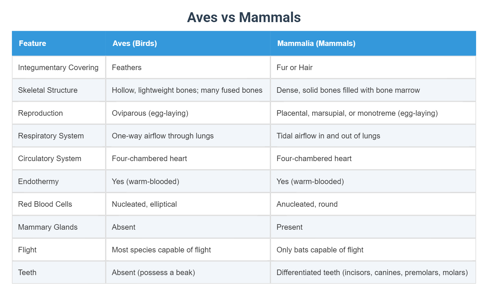 Aves vs Mammals