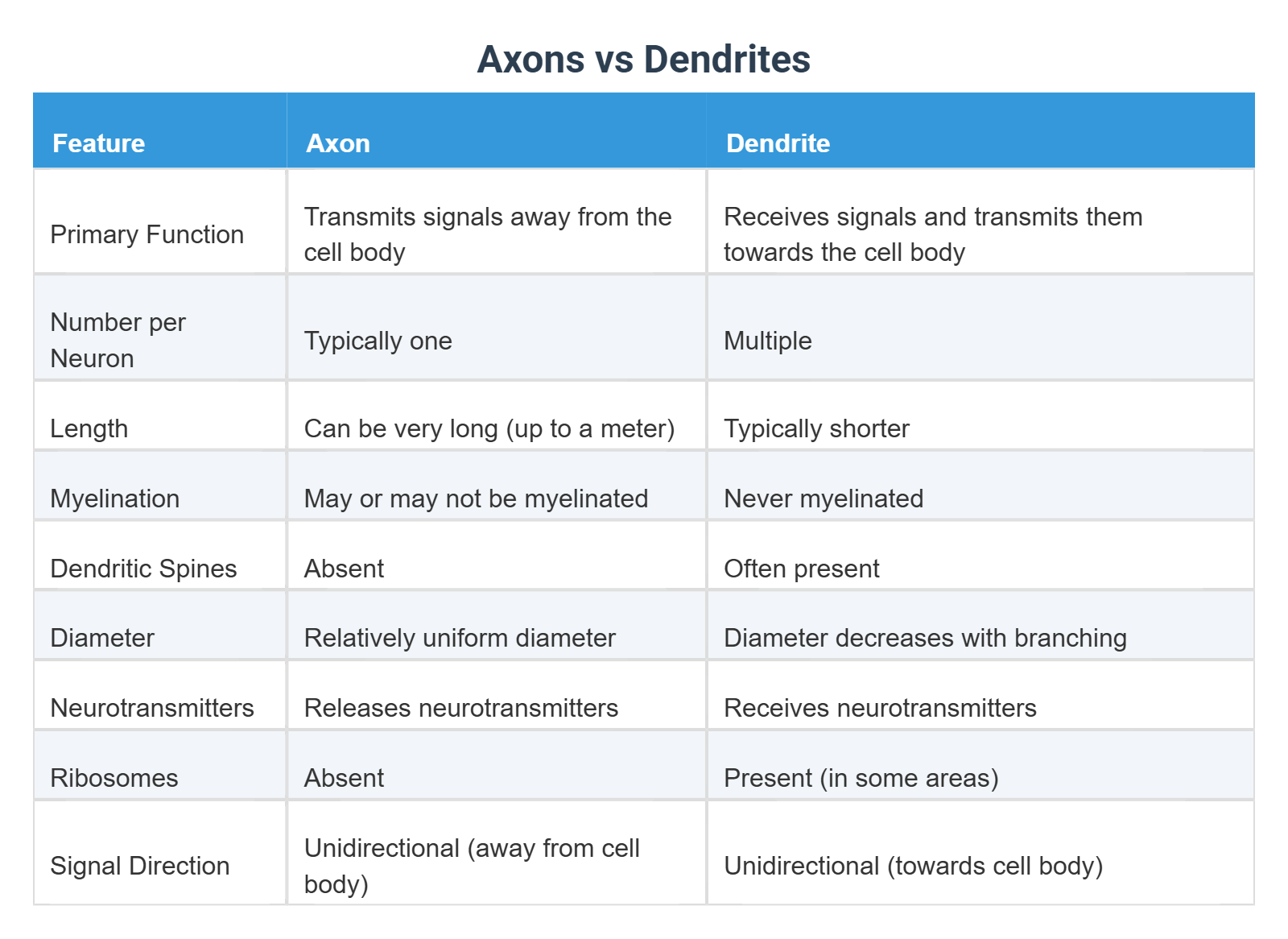 Axons vs Dendrites