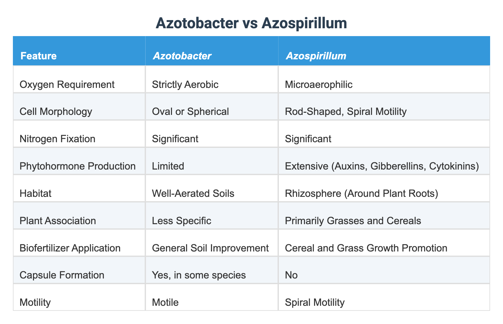 Azotobacter vs Azospirillum