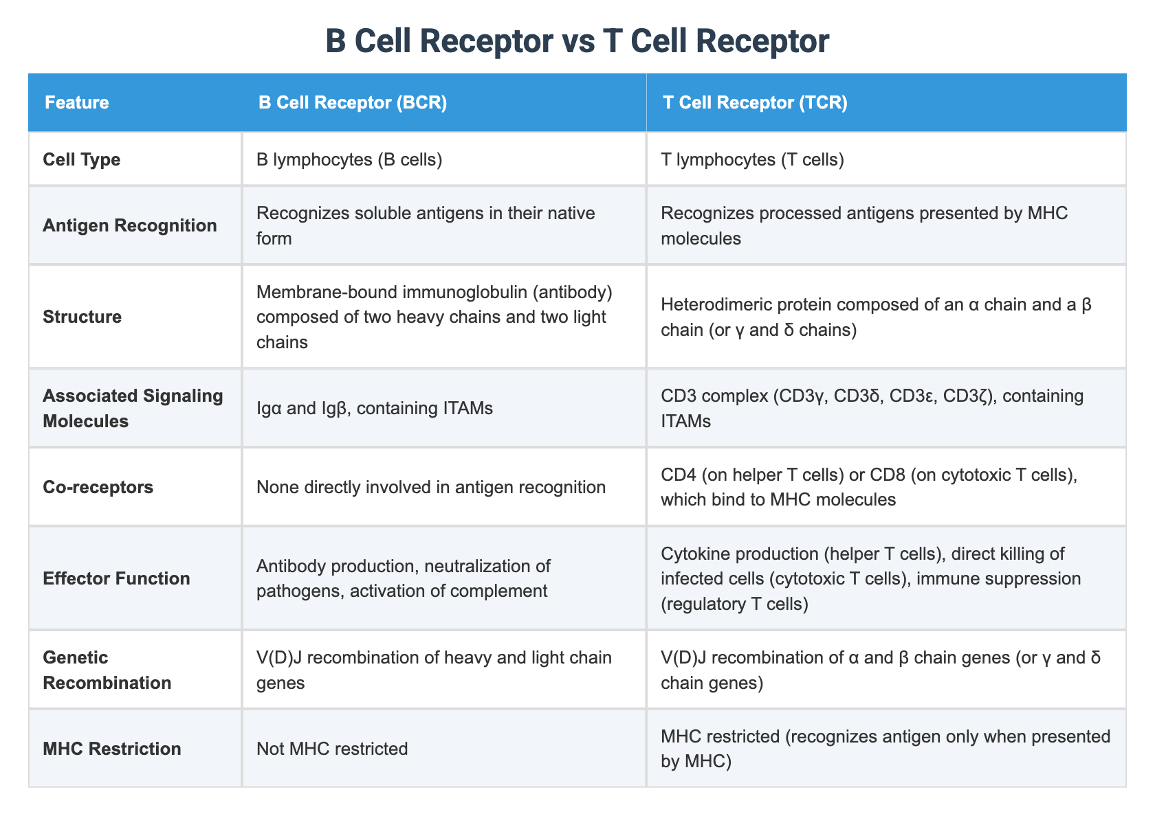 B Cell Receptor vs T Cell Receptor