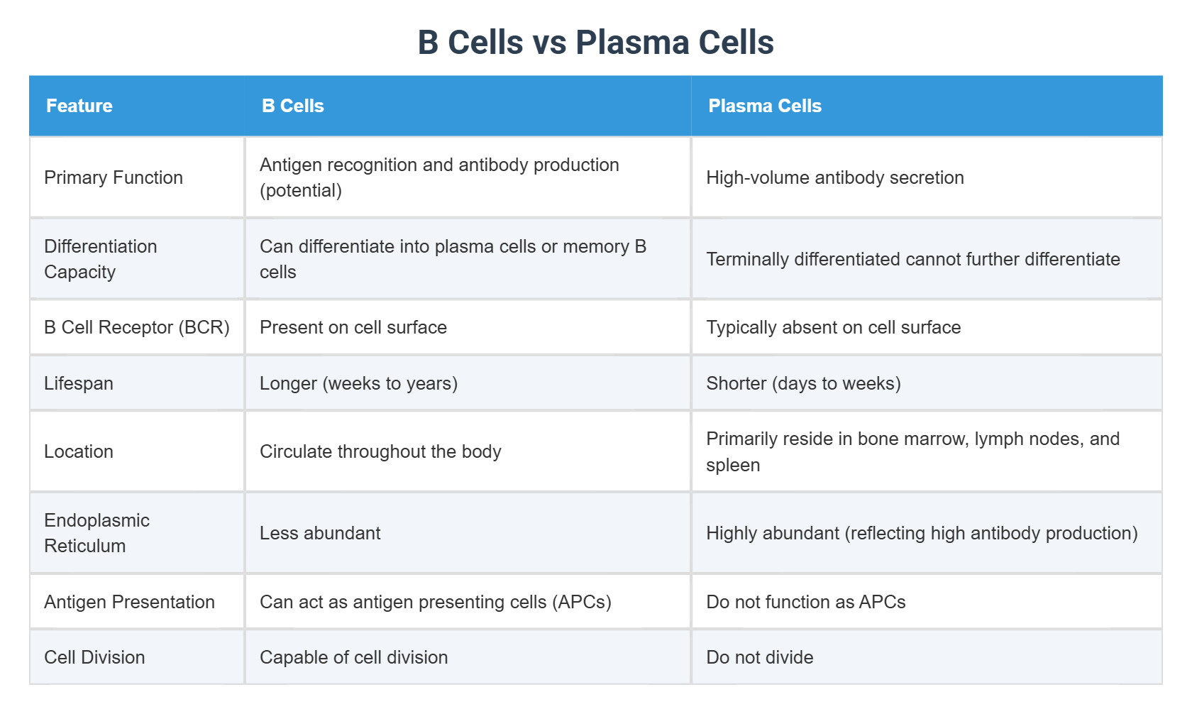 B Cells vs Plasma Cells
