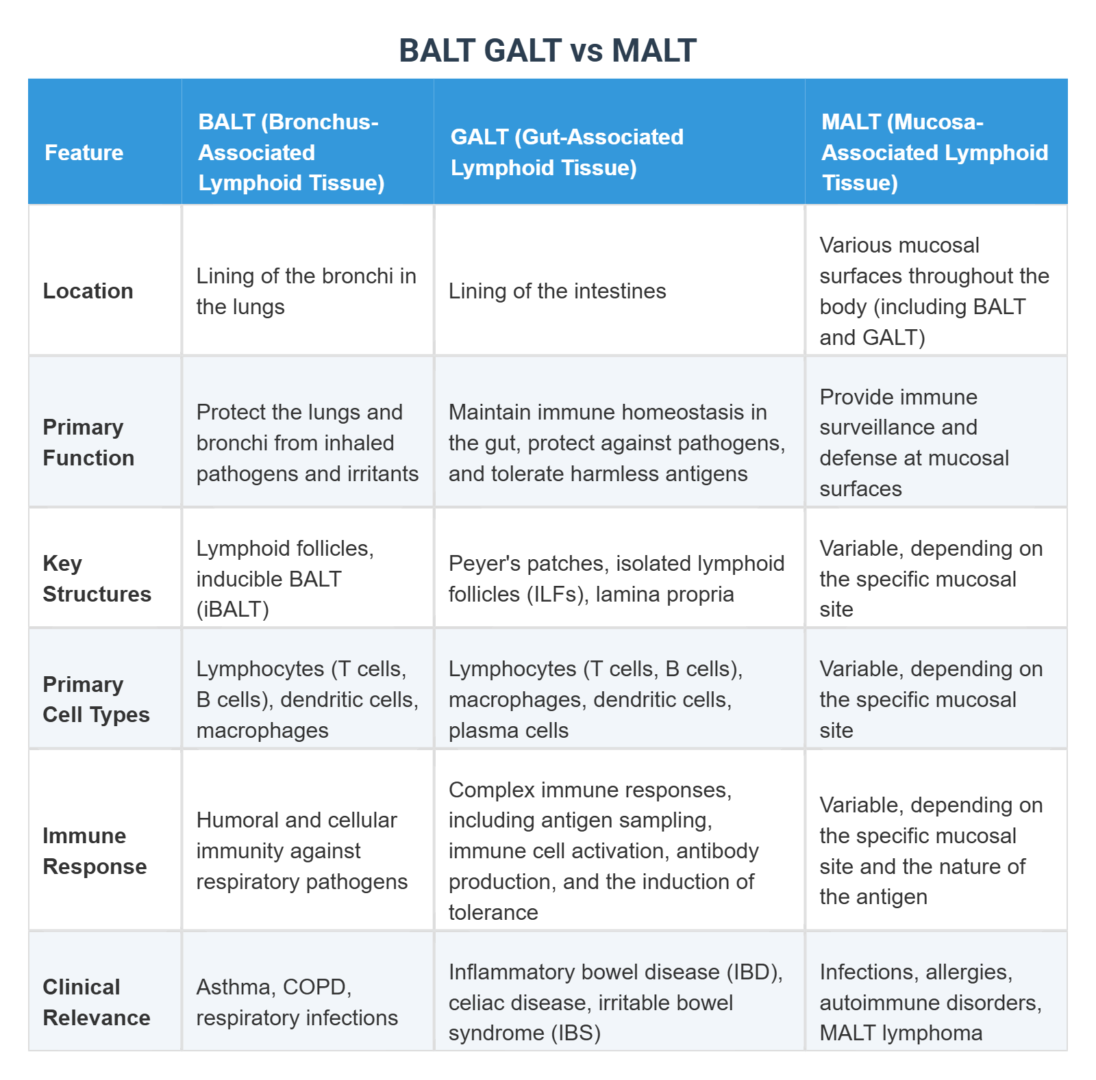 BALT GALT vs MALT