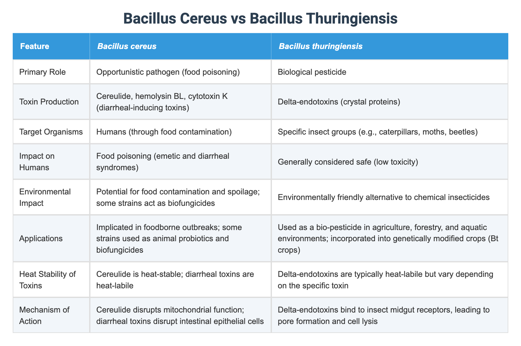 Bacillus Cereus vs Bacillus Thuringiensis