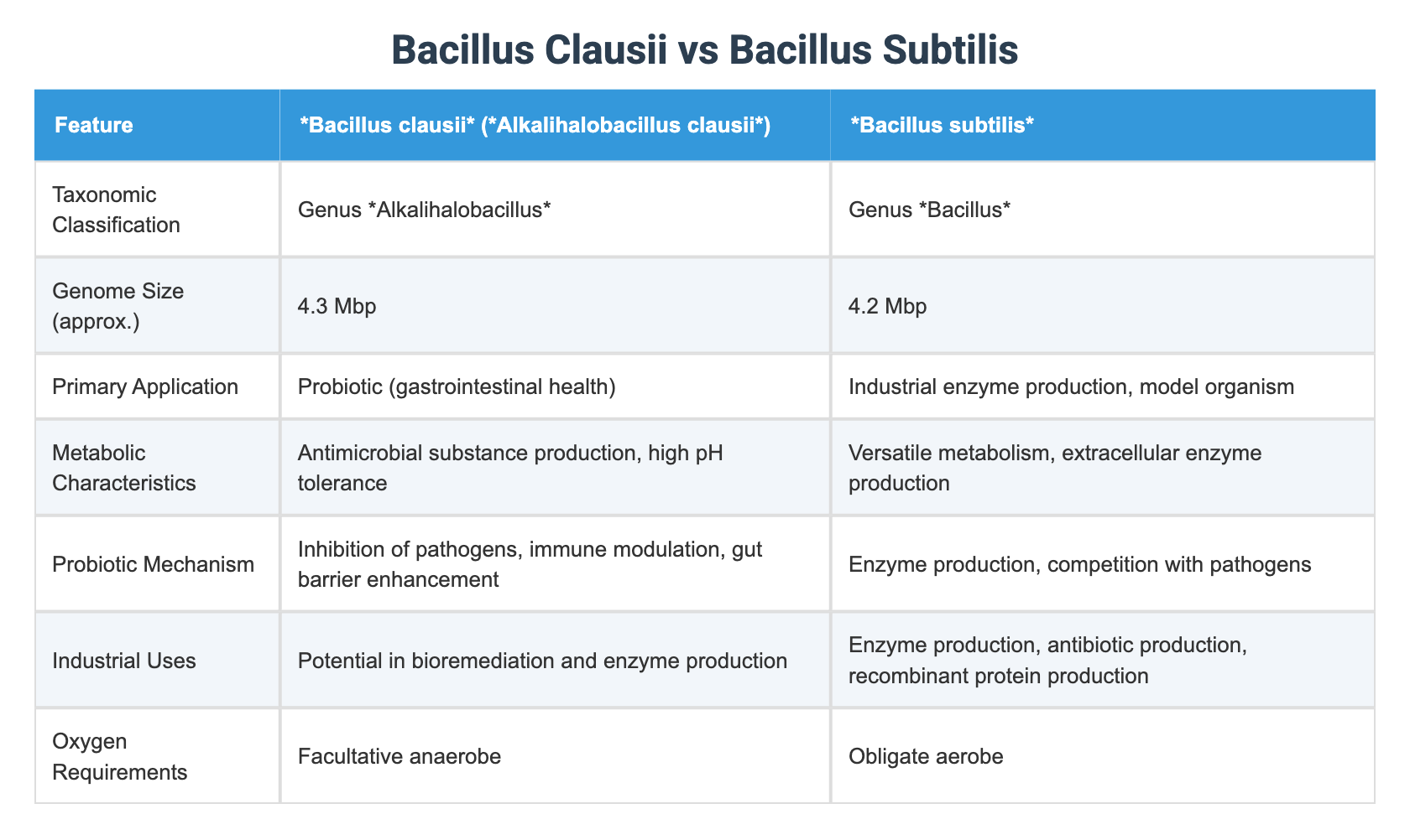 Bacillus Clausii vs Bacillus Subtilis