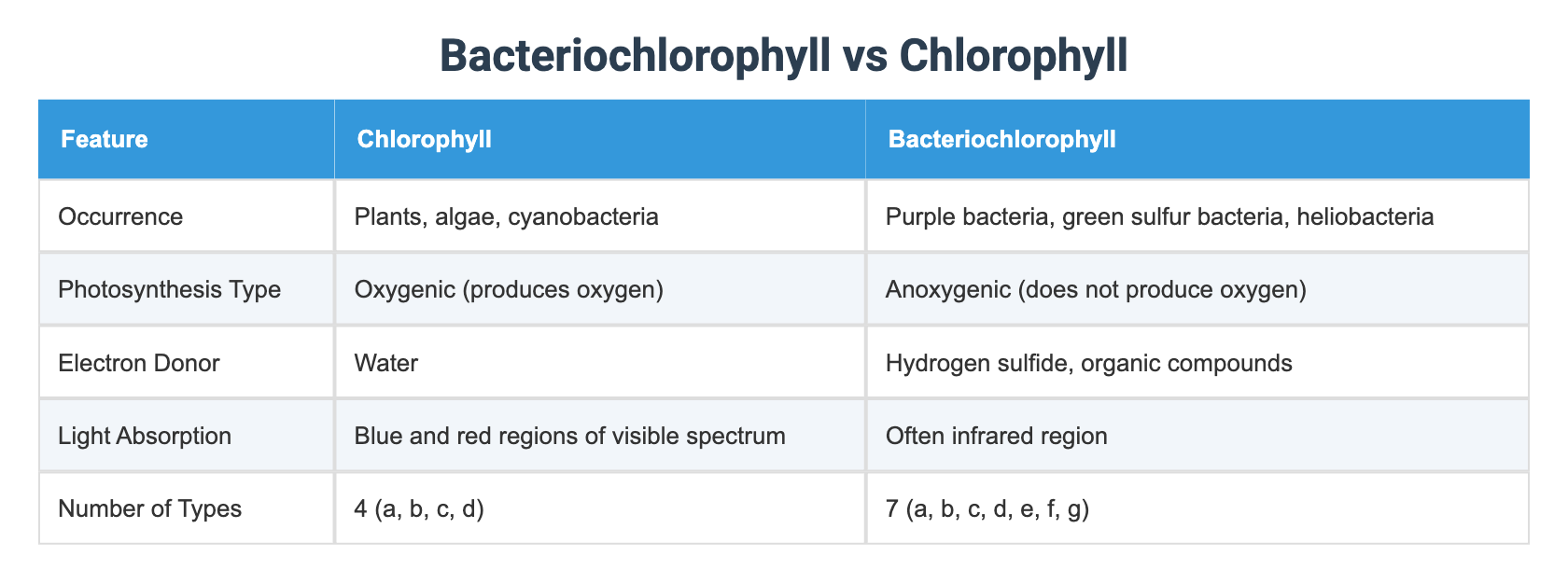 Bacteriochlorophyll vs Chlorophyll