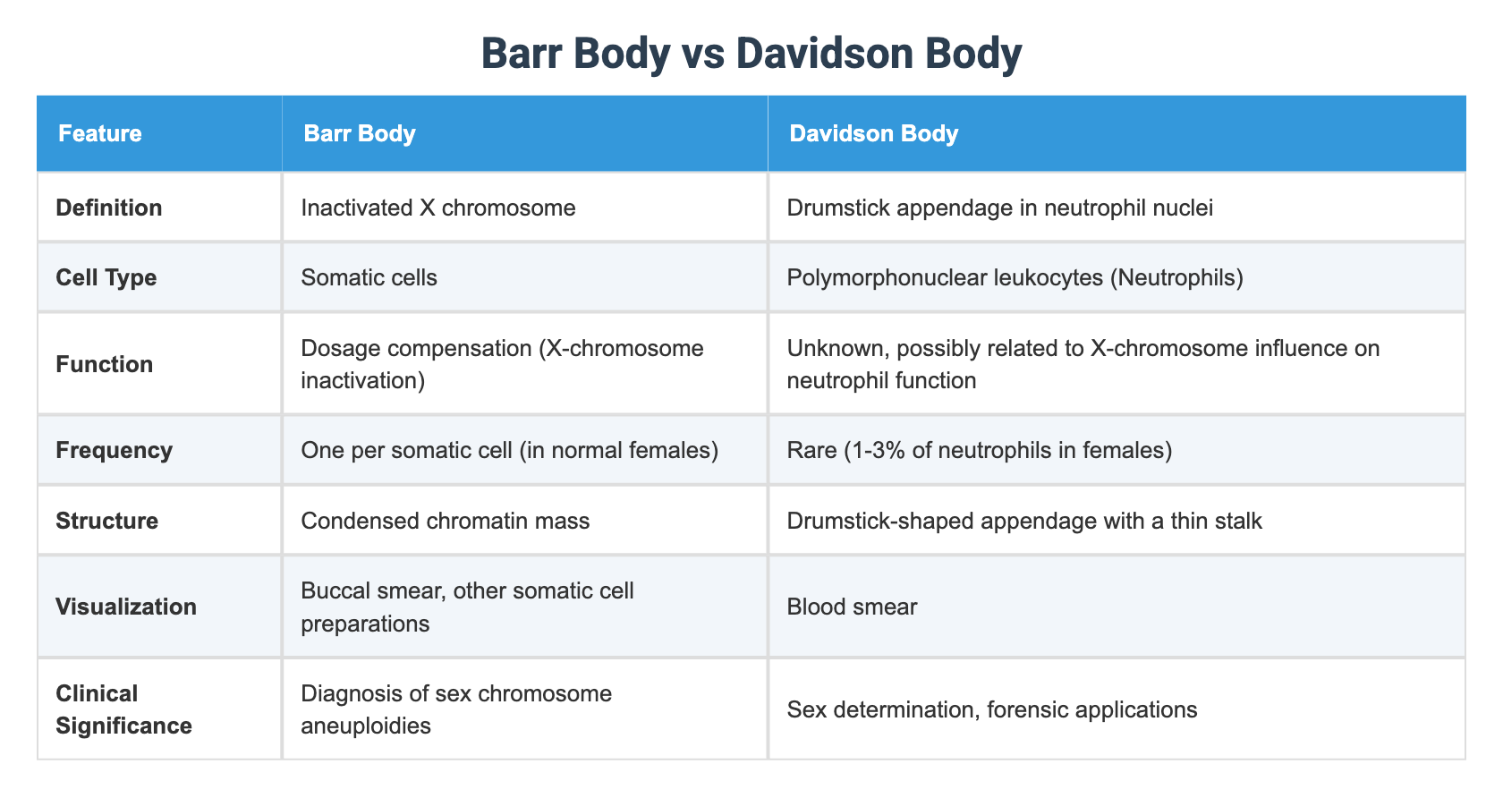 Barr Body vs Davidson Body