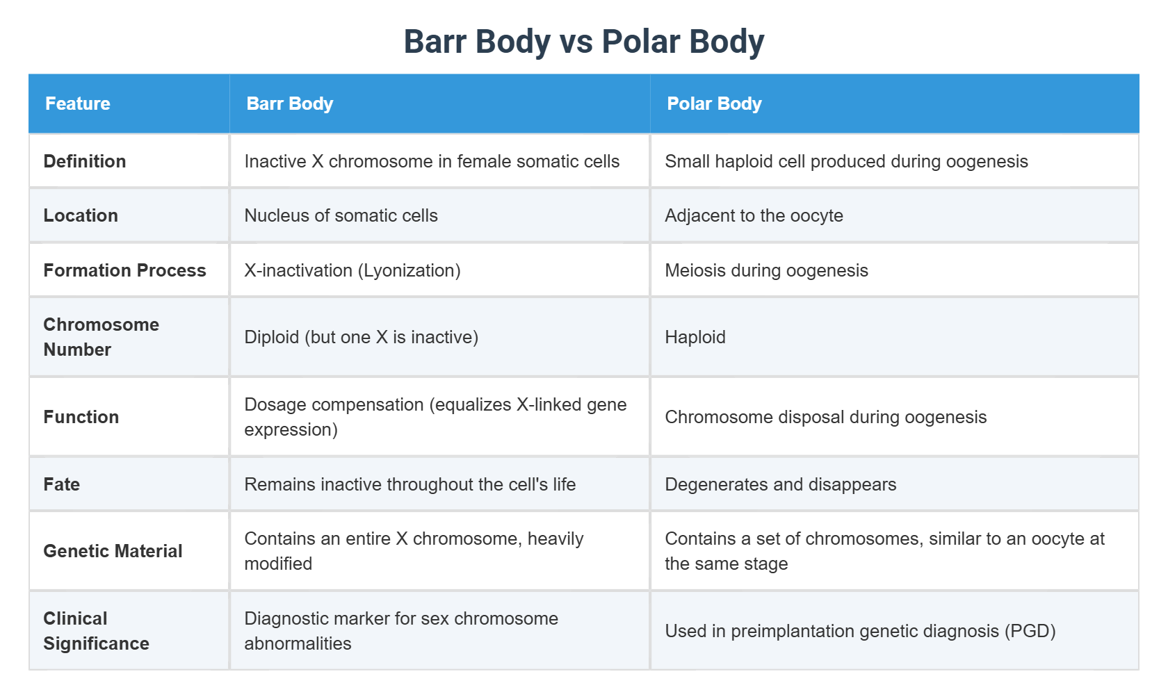 Barr Body vs Polar Body