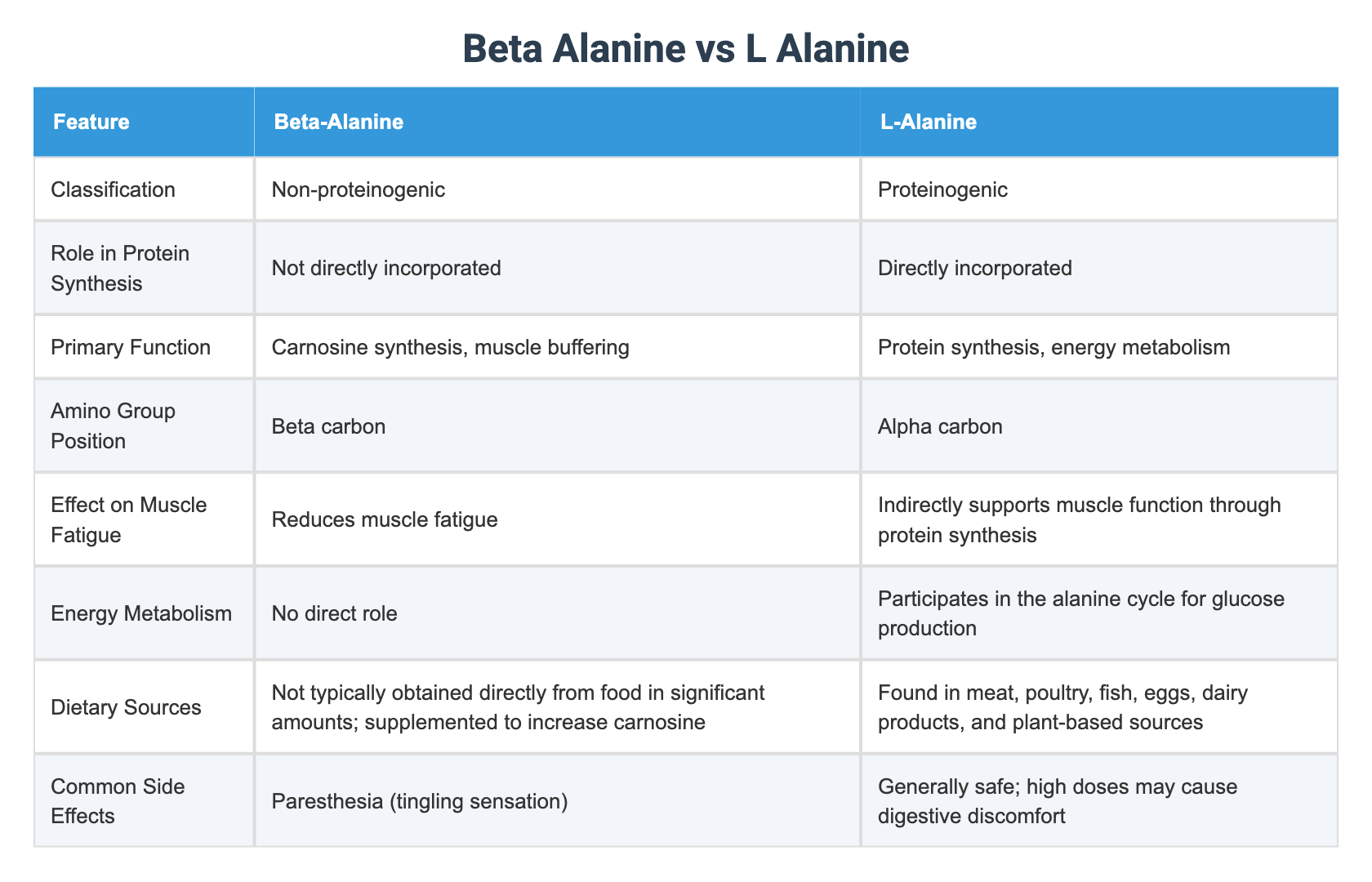 Beta Alanine vs L Alanine