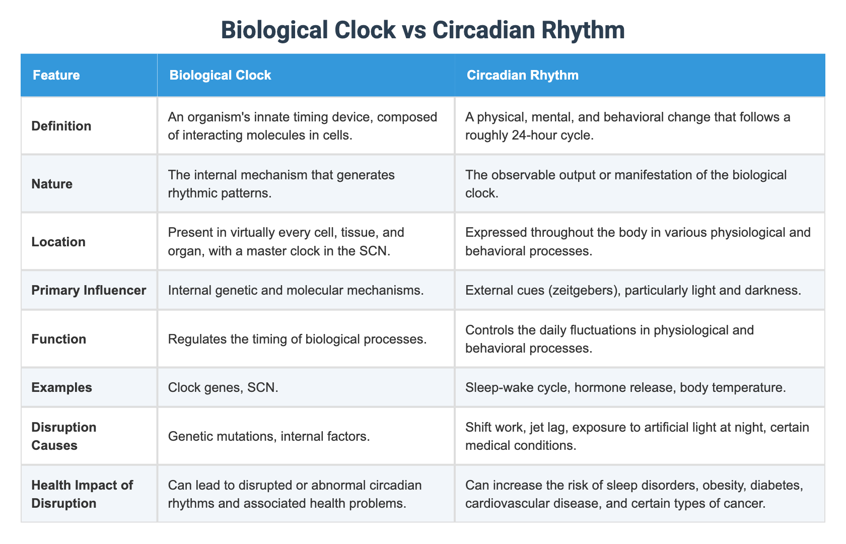 Biological Clock vs Circadian Rhythm
