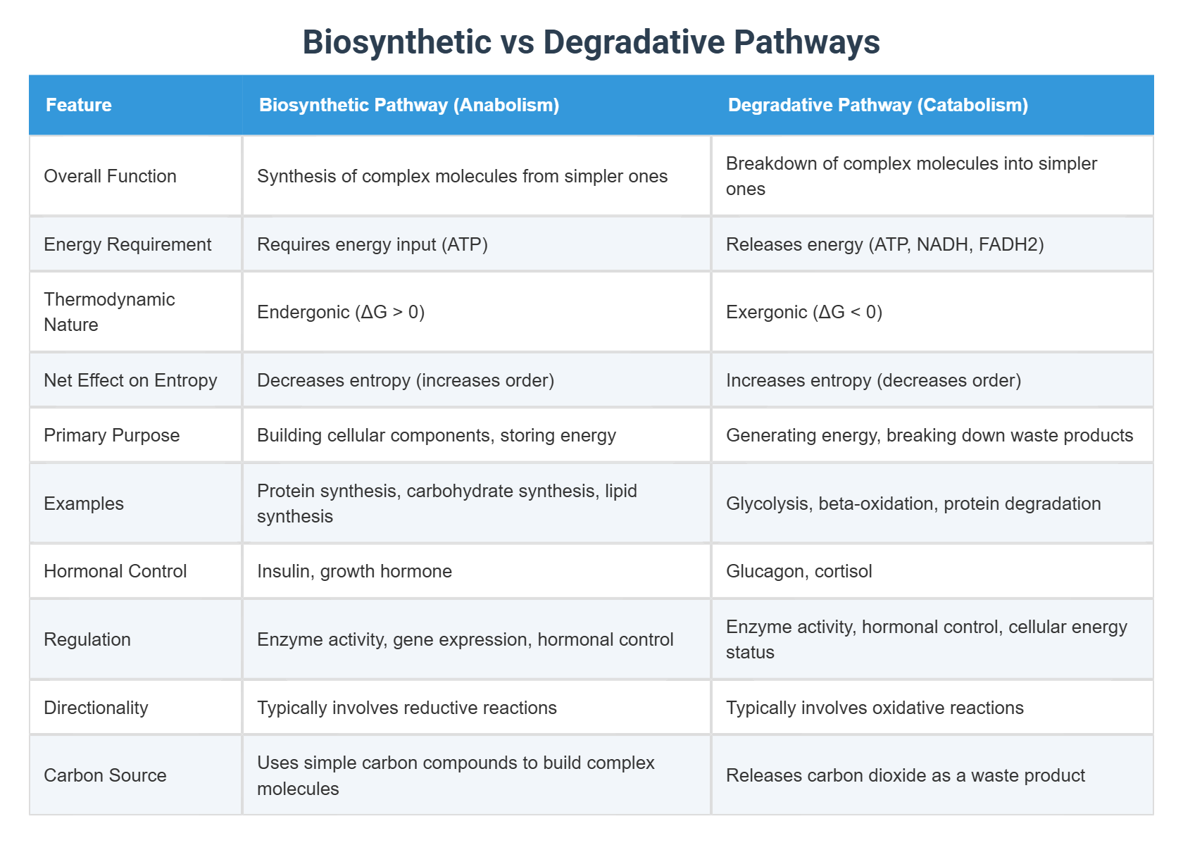 Biosynthetic vs Degradative Pathways