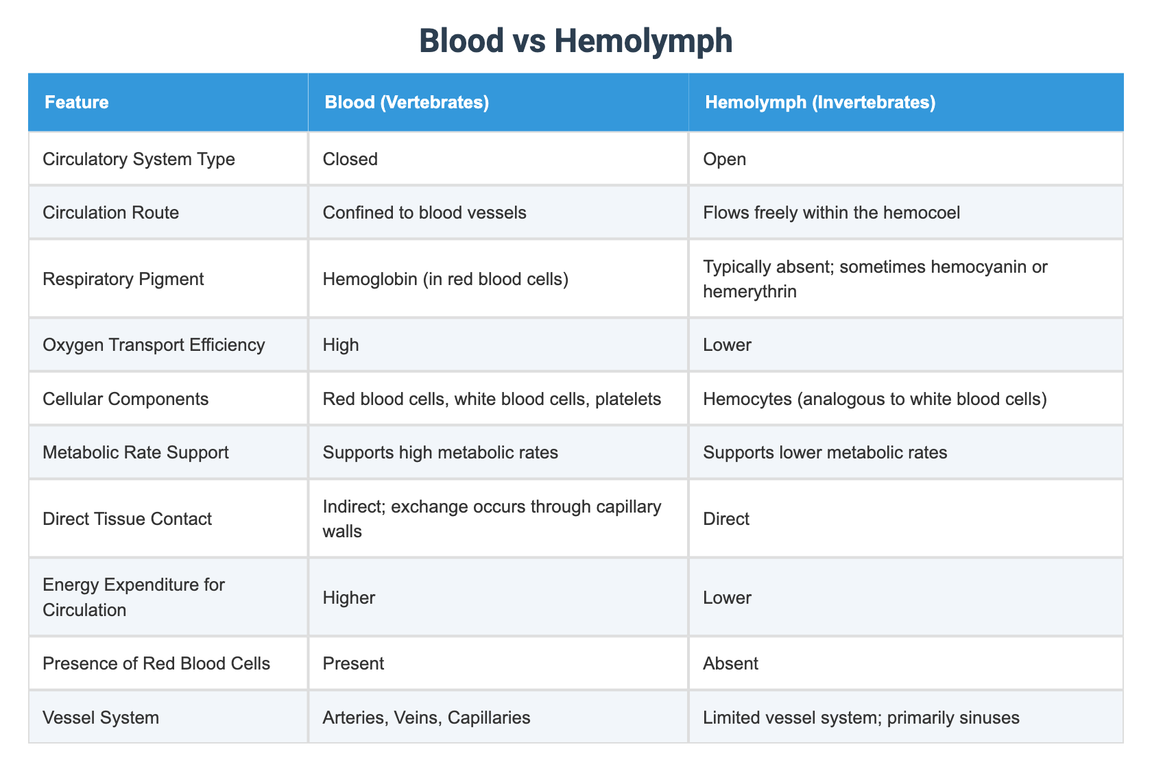 Blood vs Hemolymph