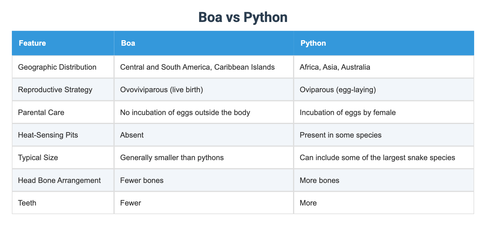 Boa vs Python