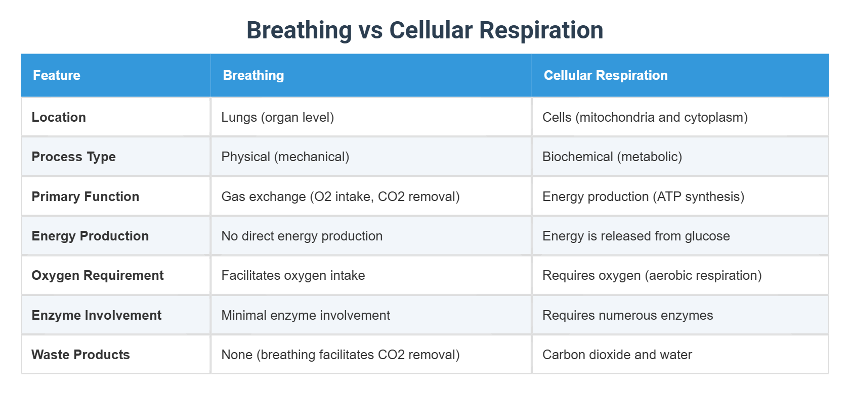 Breathing vs Cellular Respiration