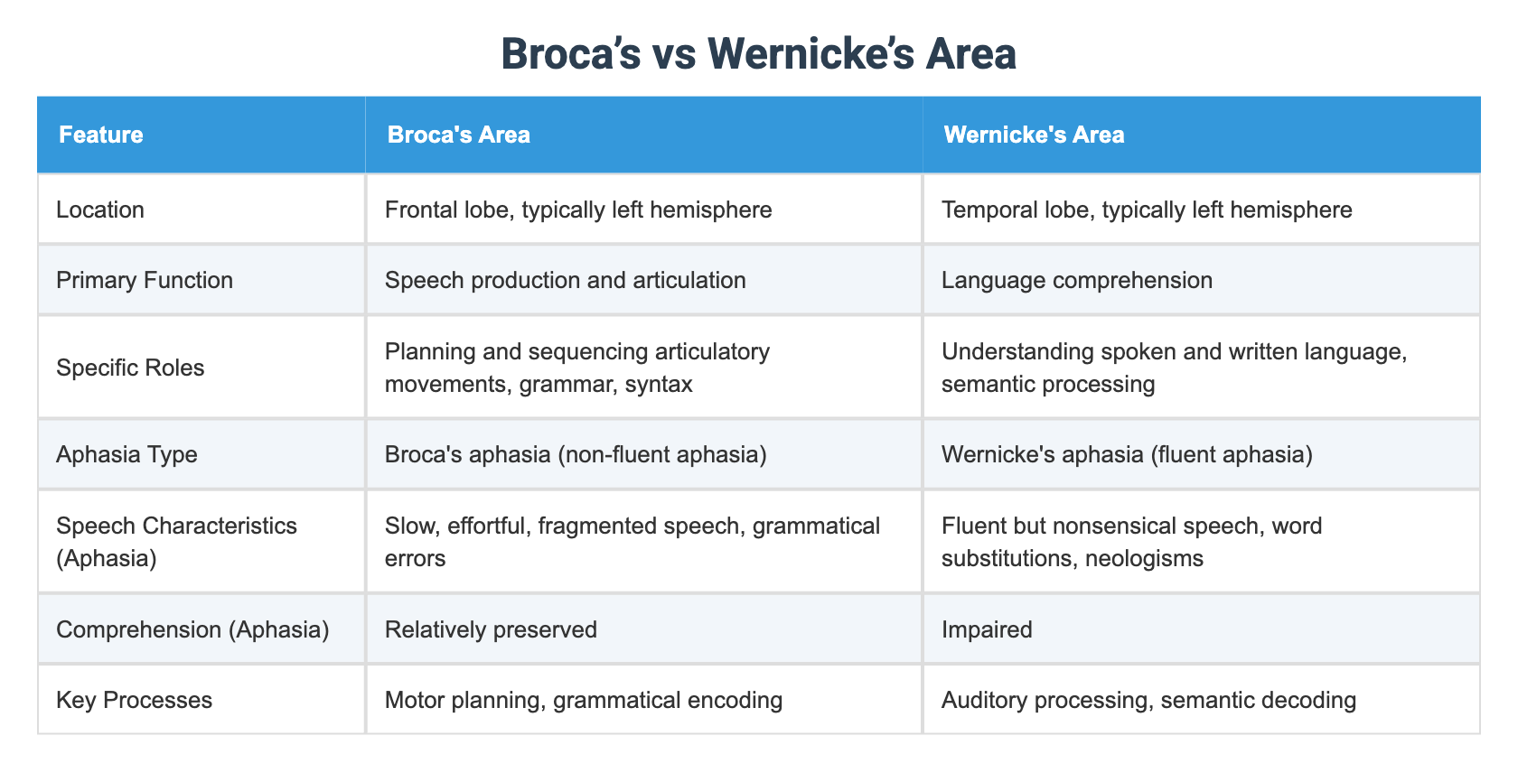 Broca’s vs Wernicke’s Area