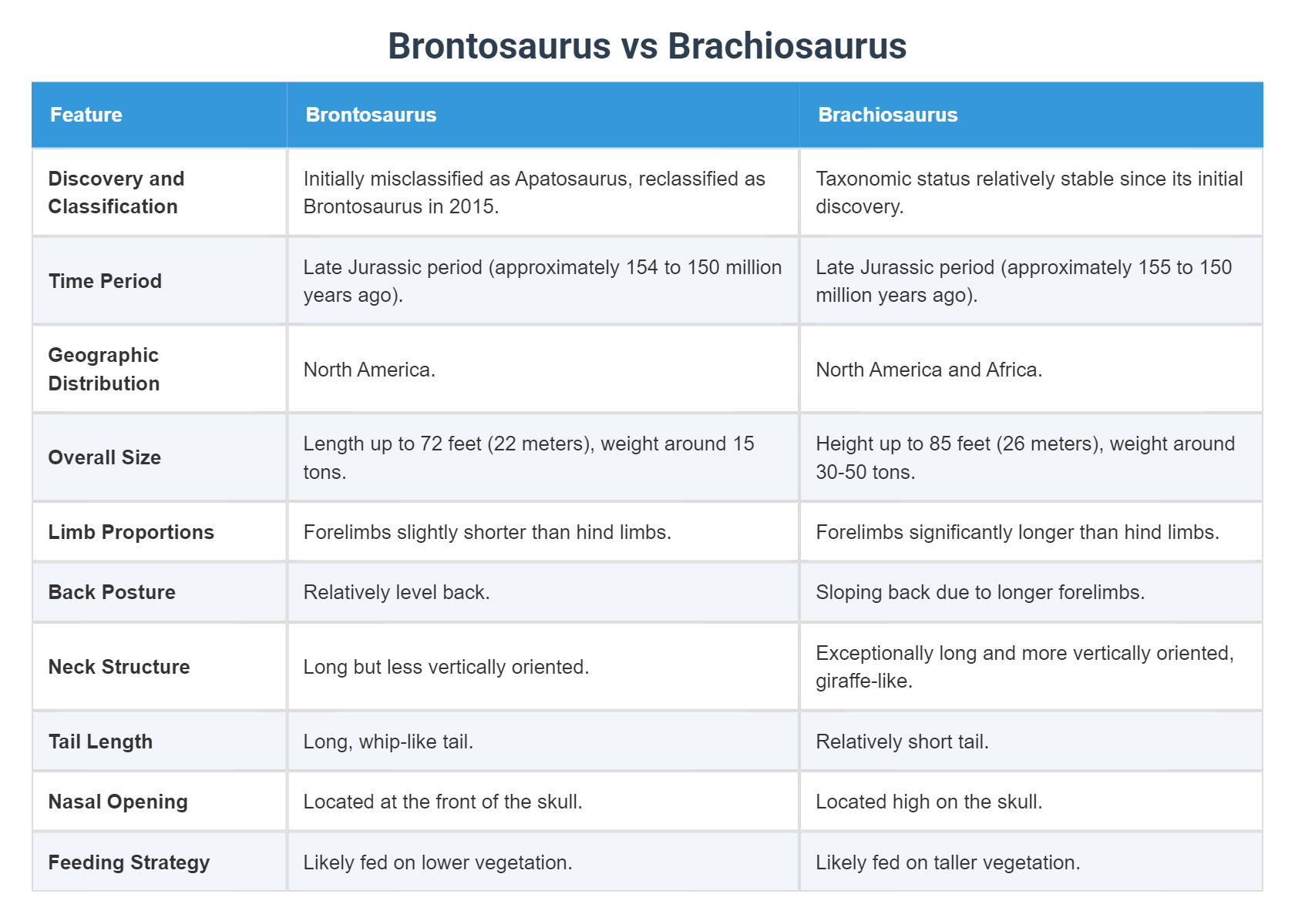 Brontosaurus vs Brachiosaurus