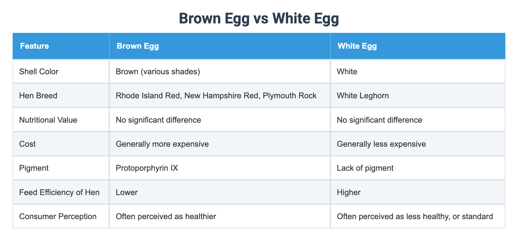 Brown Egg vs White Egg
