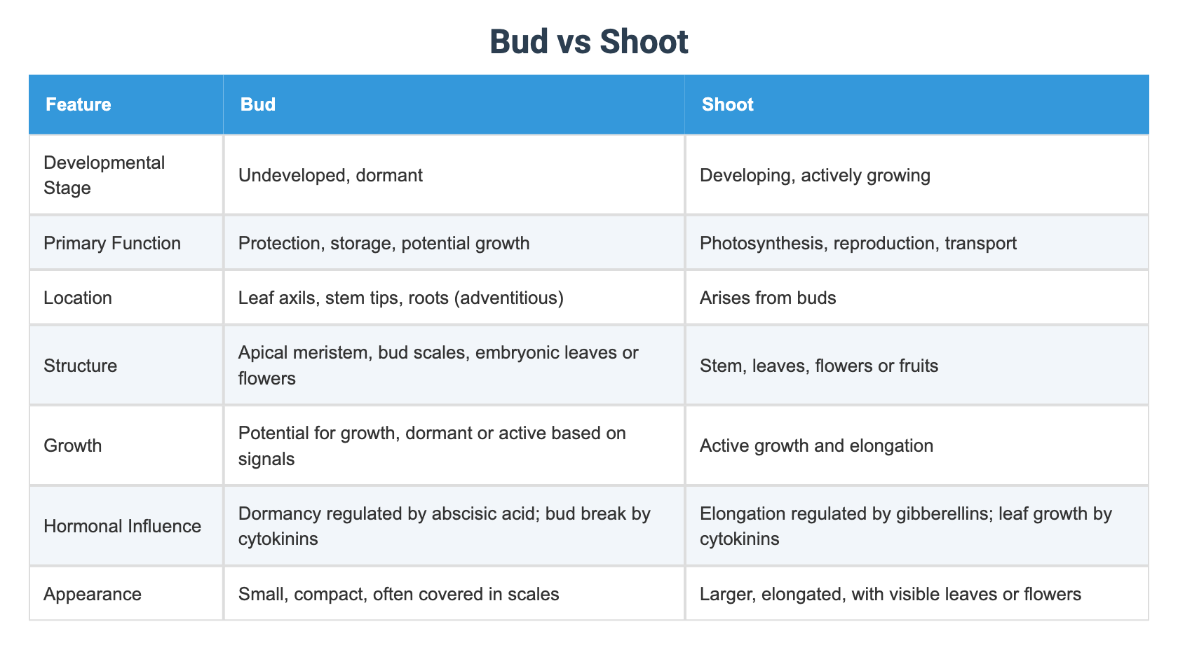 Bud vs Shoot
