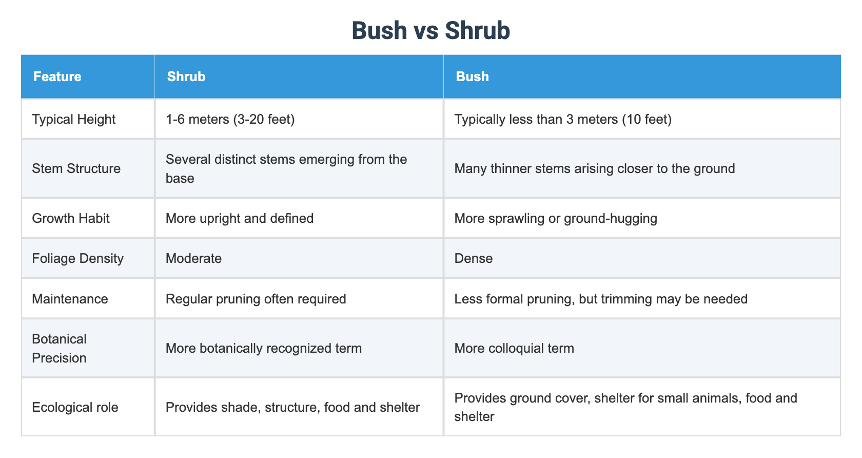 Bush vs Shrub