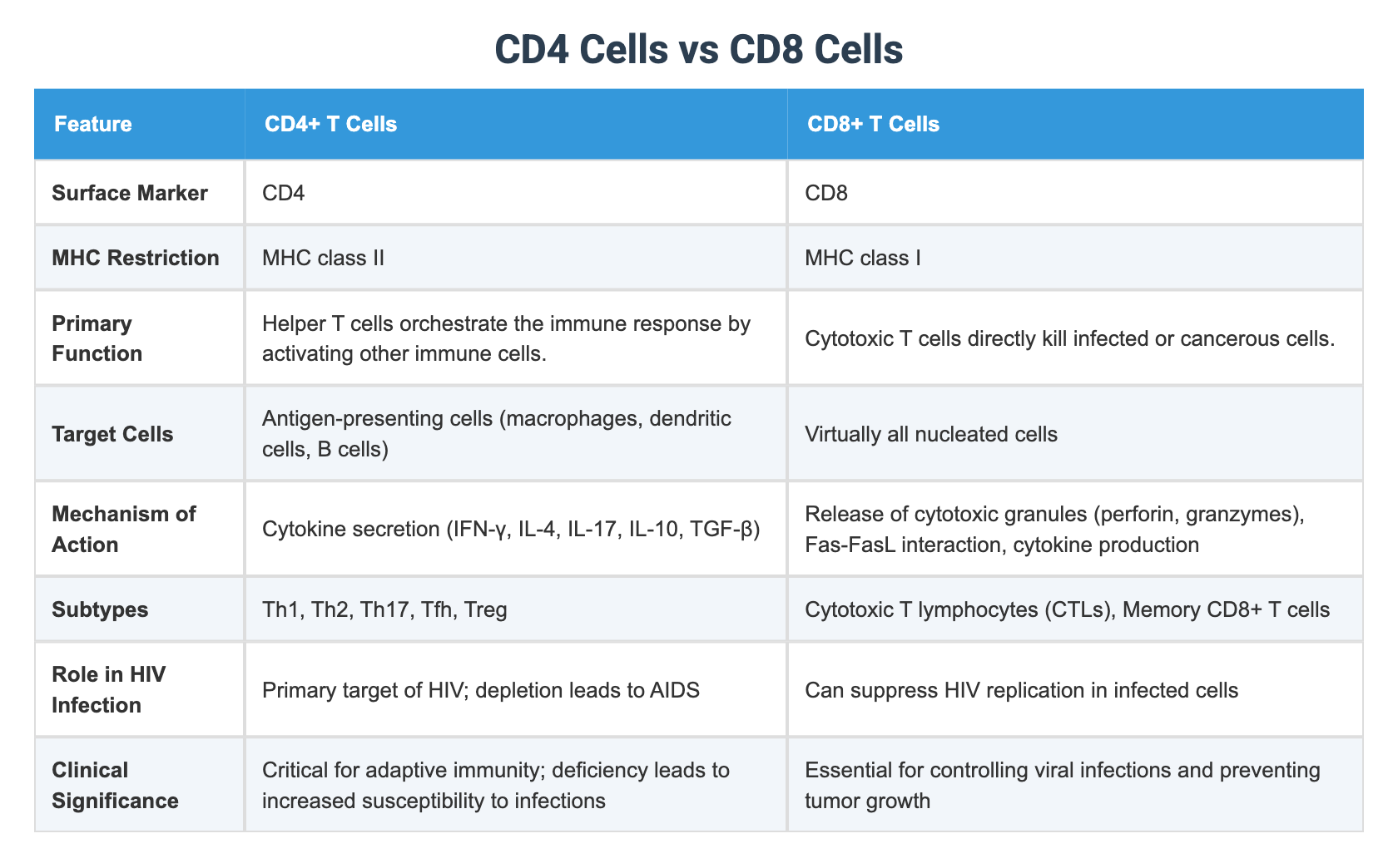 CD4 Cells vs CD8 Cells