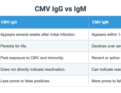 IgG IgM IgA IgE vs IgD