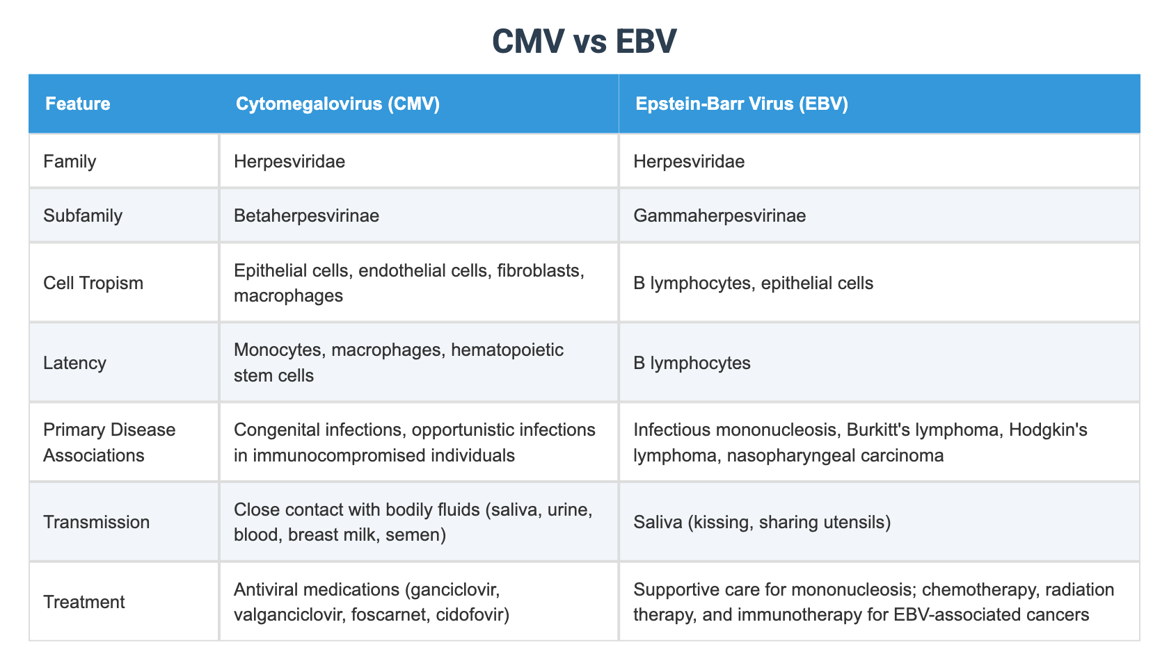 CMV vs EBV