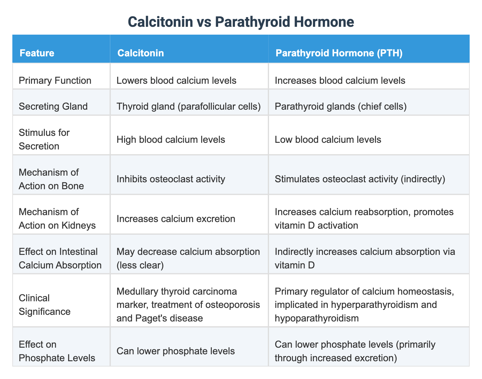 Calcitonin vs Parathyroid Hormone
