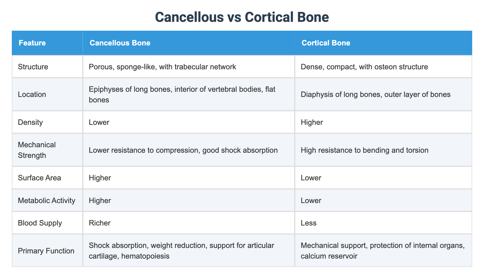 Cancellous vs Cortical Bone