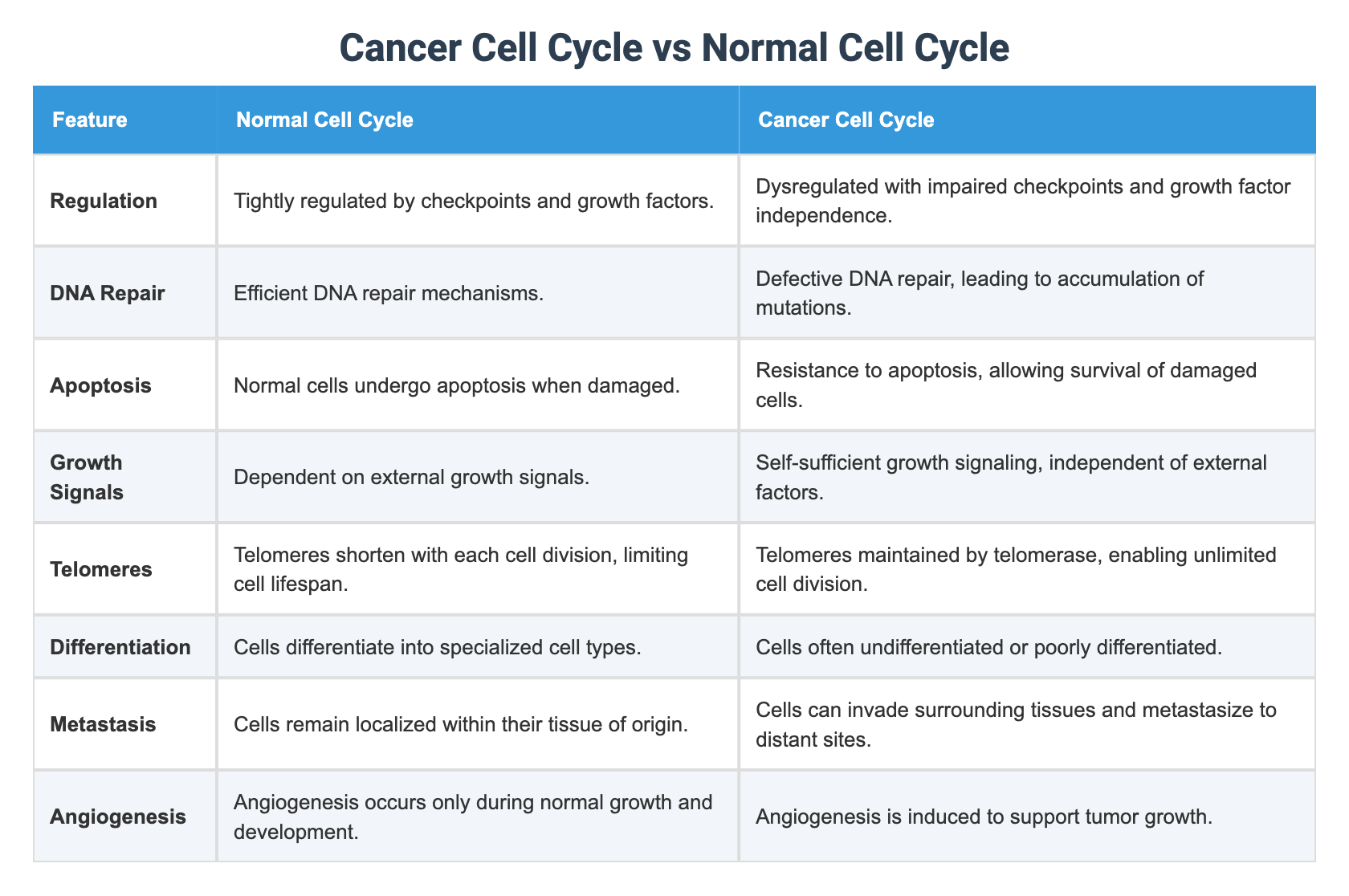 Cancer Cell Cycle vs Normal Cell Cycle