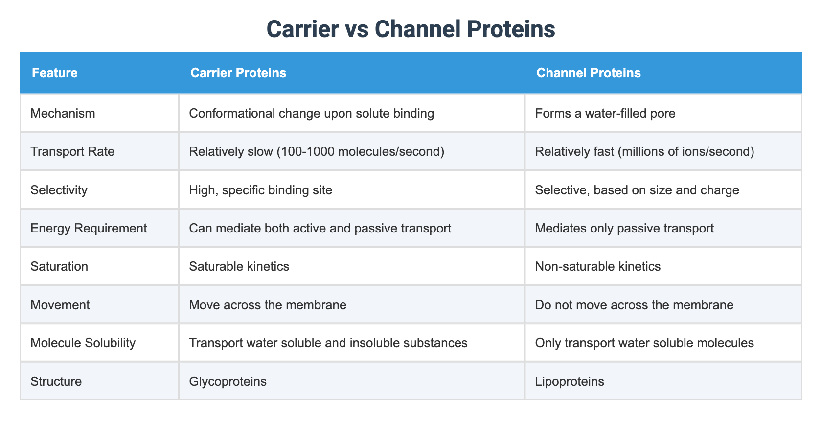 Carrier vs Channel Proteins