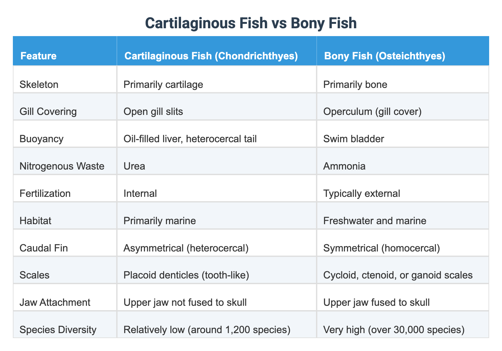 Cartilaginous Fish vs Bony Fish