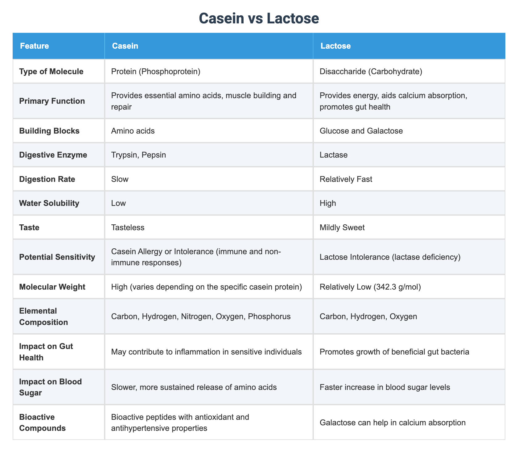 Casein vs Lactose