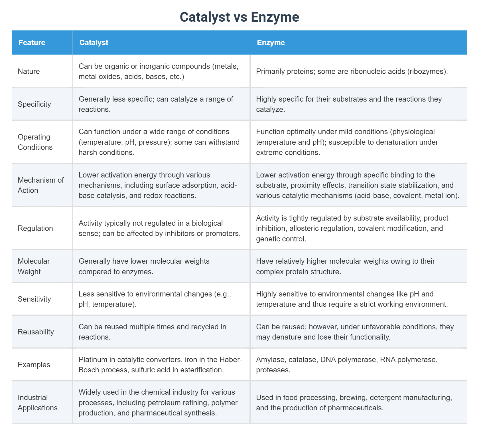 Catalyst vs Enzyme