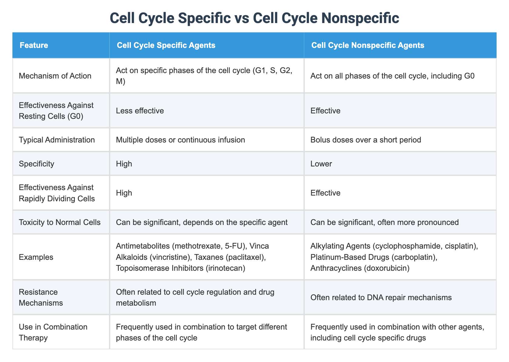 Cell Cycle Specific vs Cell Cycle Nonspecific