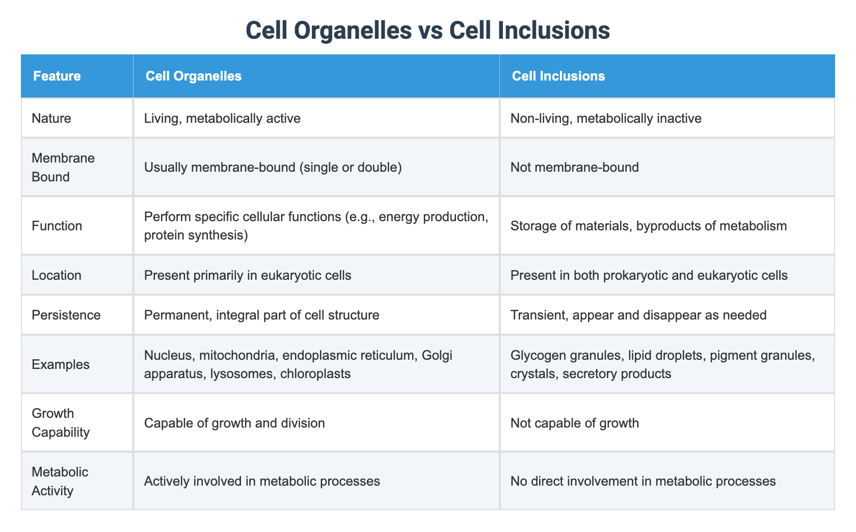 Cell Organelles vs Cell Inclusions