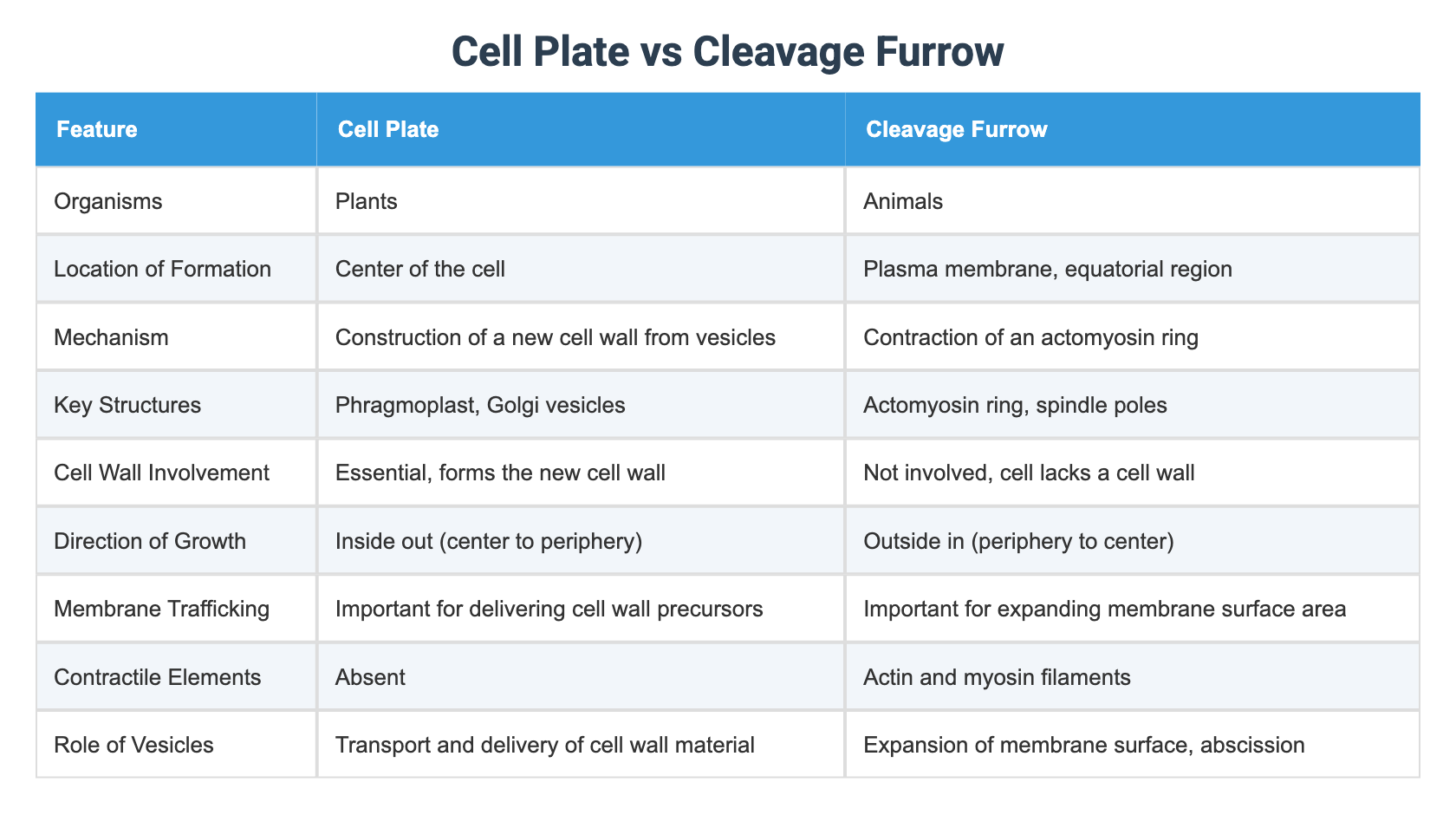 Cell Plate vs Cleavage Furrow