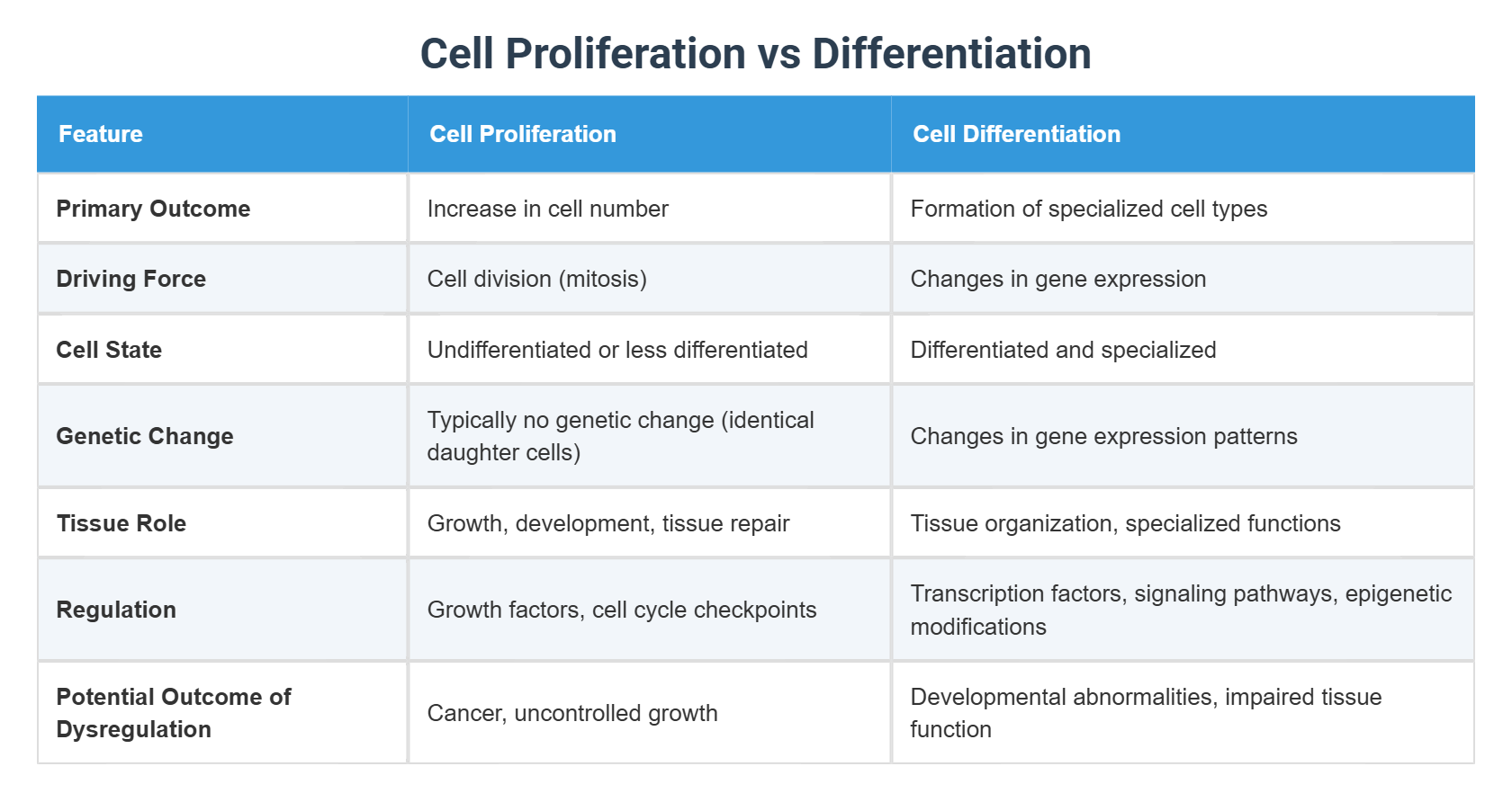 Cell Proliferation vs Differentiation