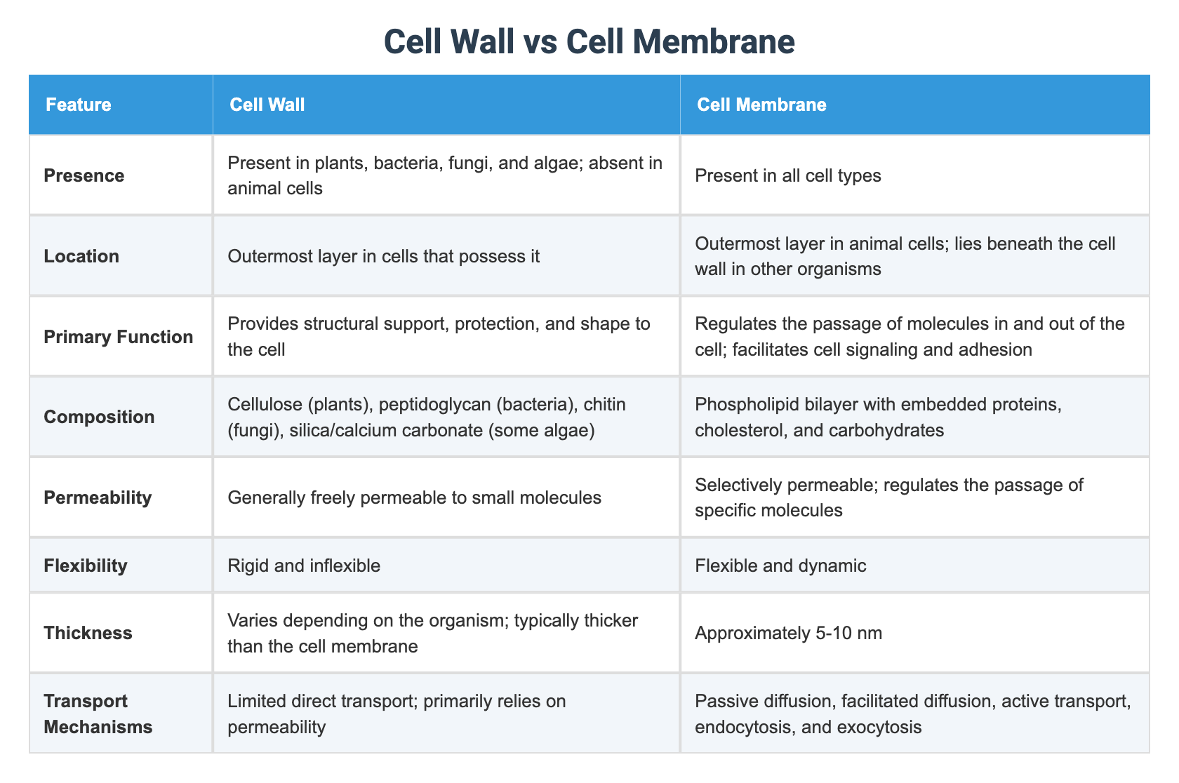 Cell Wall vs Cell Membrane