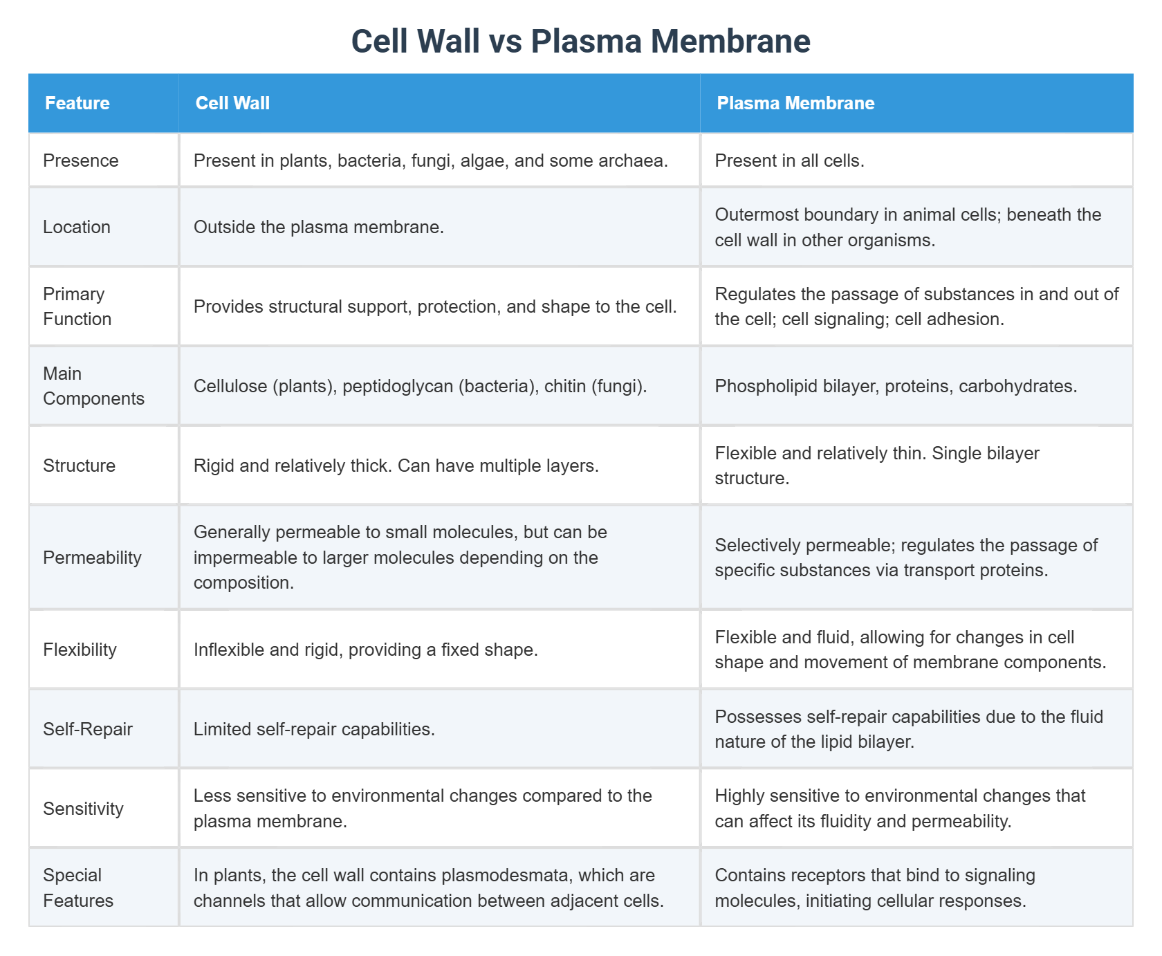 Cell Wall vs Plasma Membrane