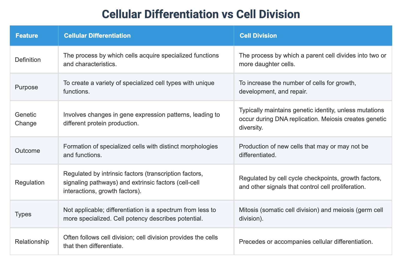 Cellular Differentiation vs Cell Division