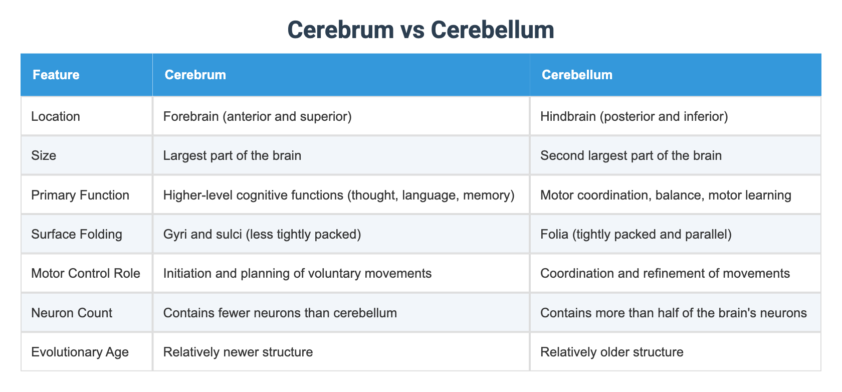 Cerebrum vs Cerebellum