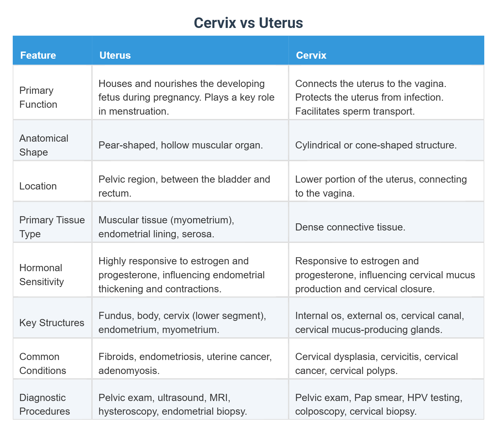 Cervix vs Uterus