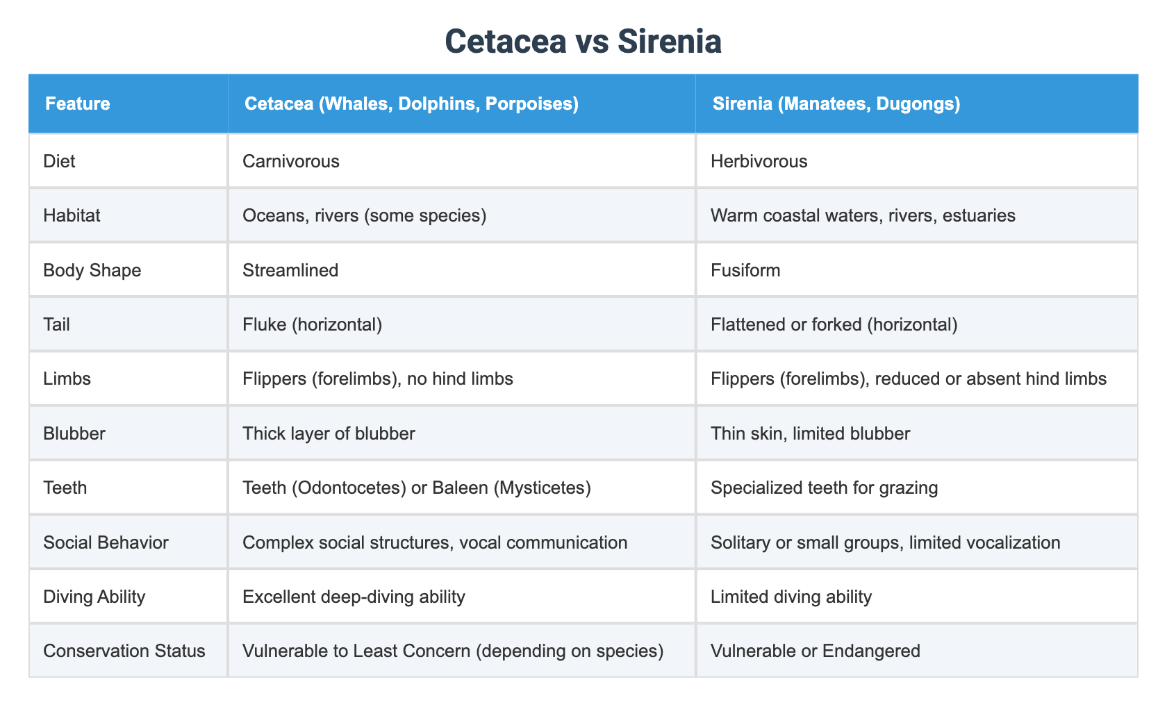 Cetacea vs Sirenia