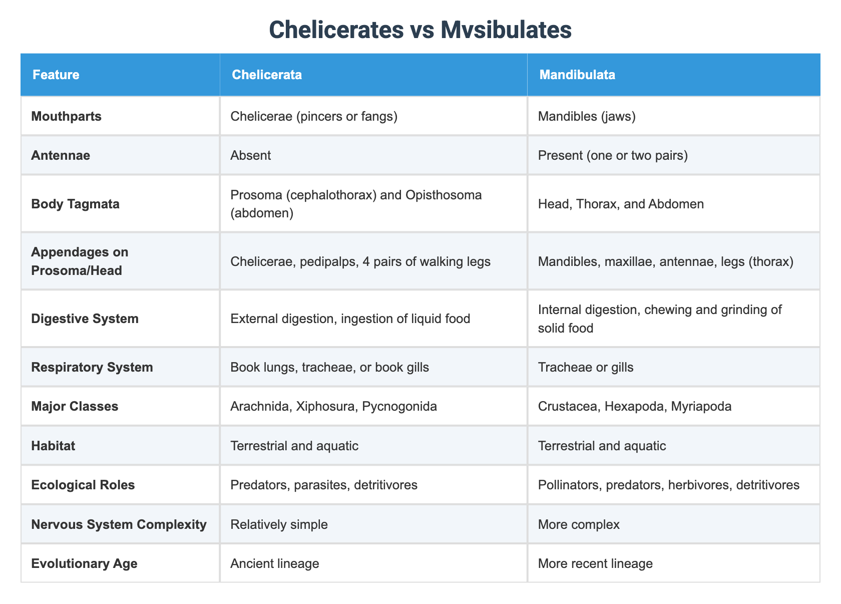 Chelicerates vs Mvsibulates