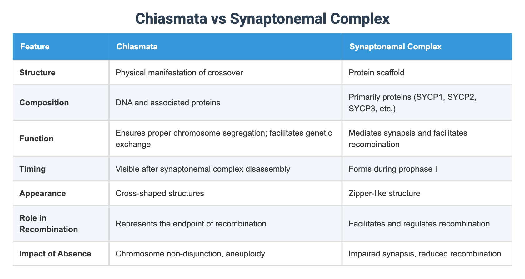 Chiasmata vs Synaptonemal Complex