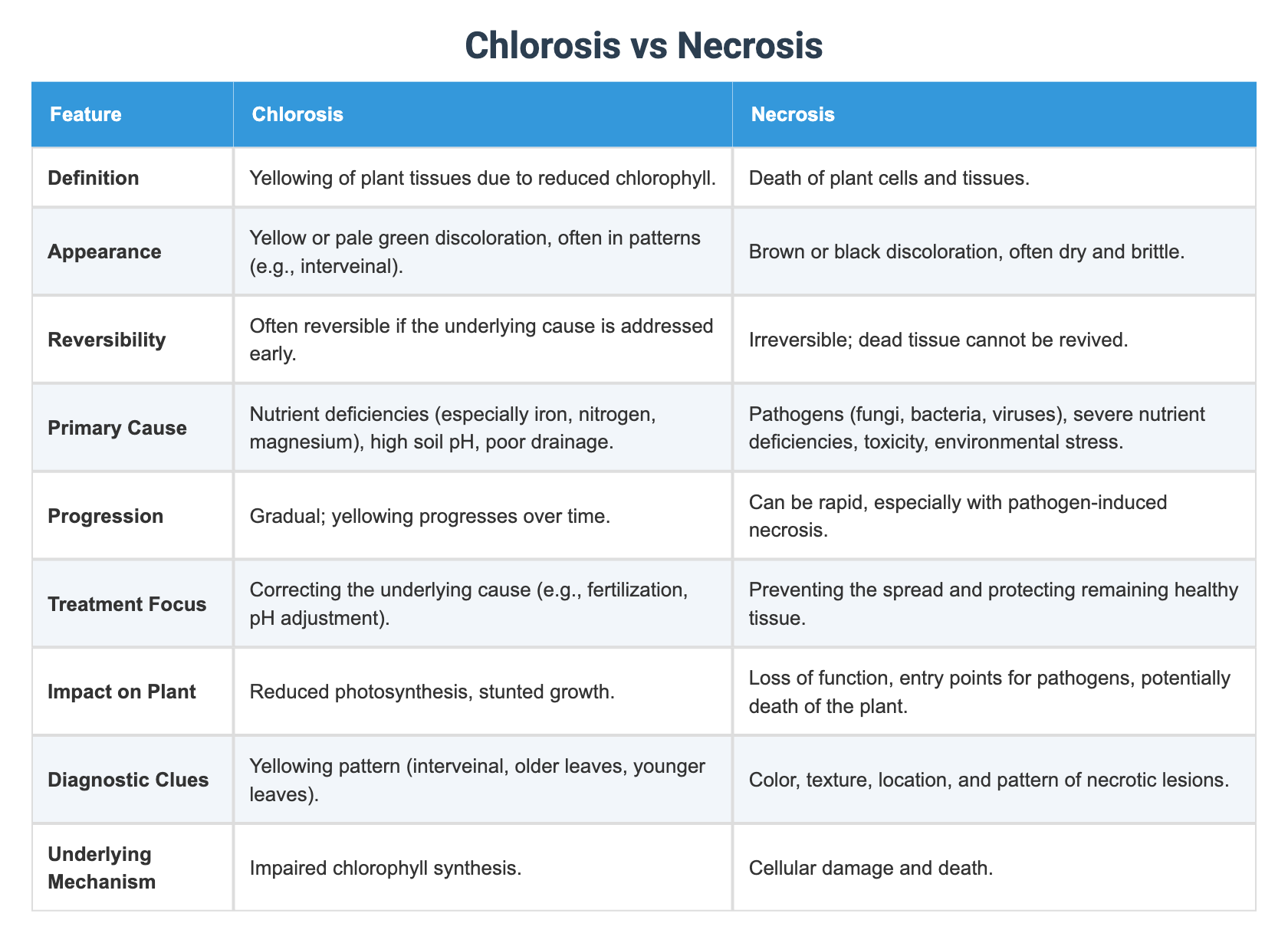 Chlorosis vs Necrosis