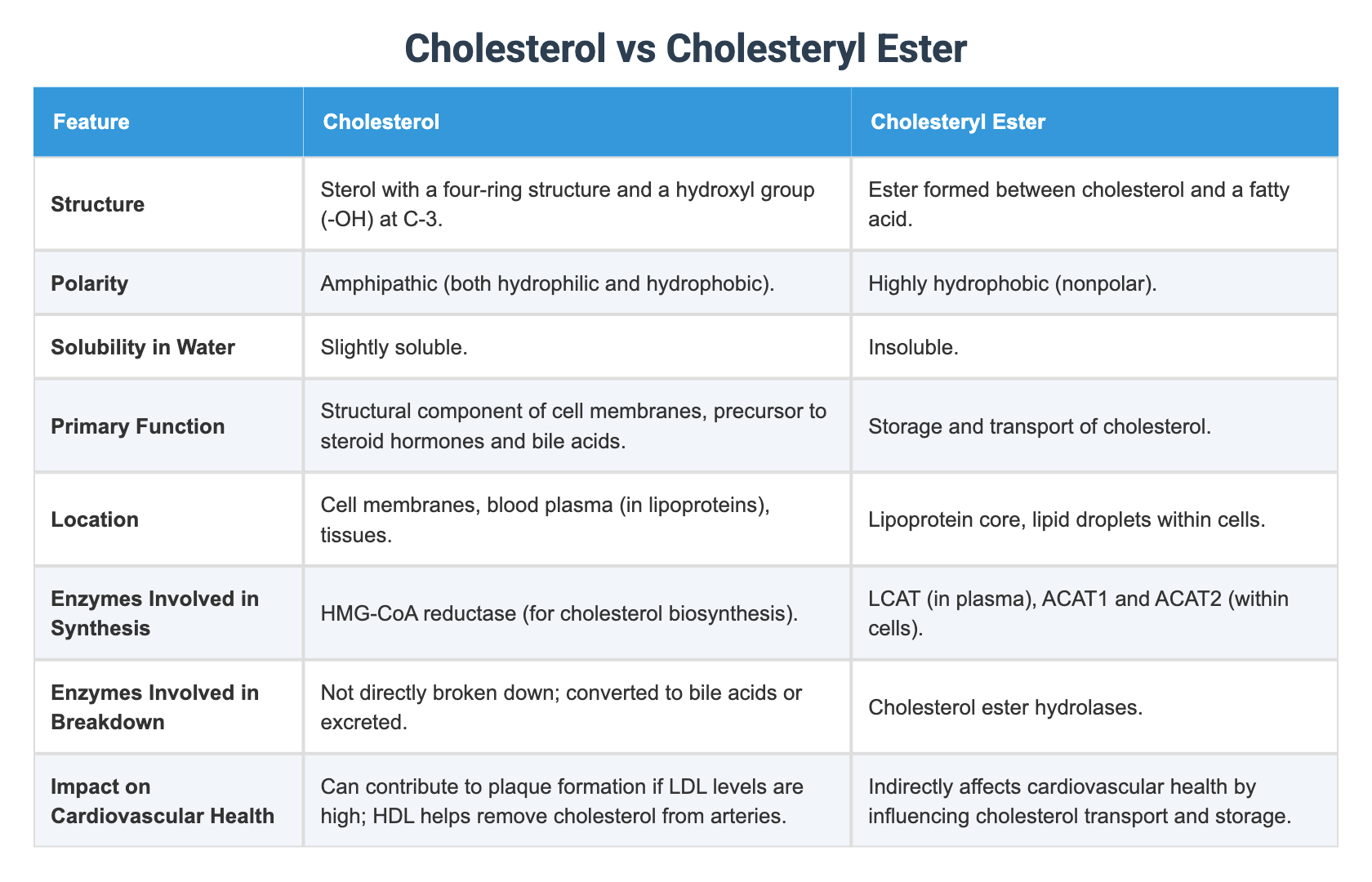 Cholesterol vs Cholesteryl Ester