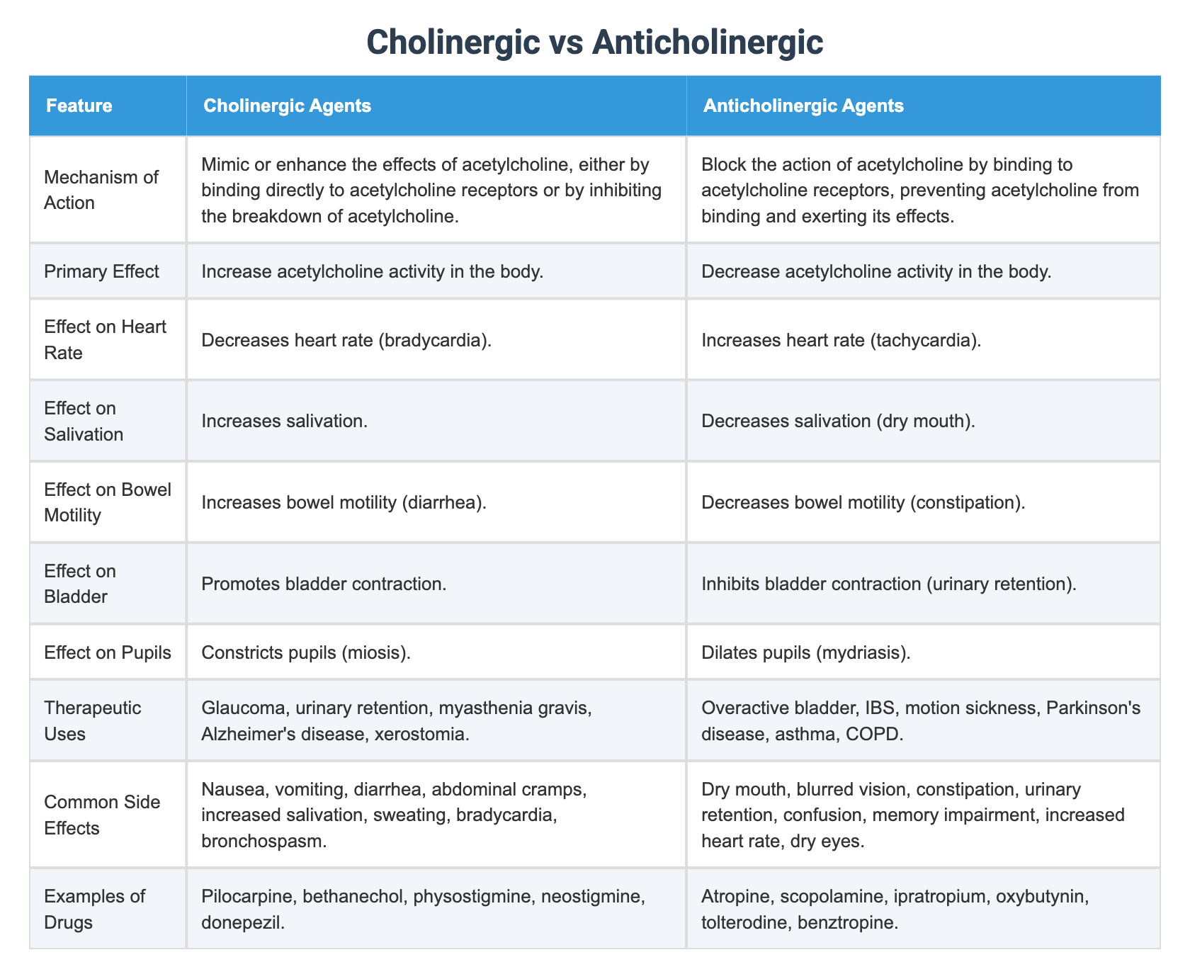 Cholinergic Vs Anticholinergic