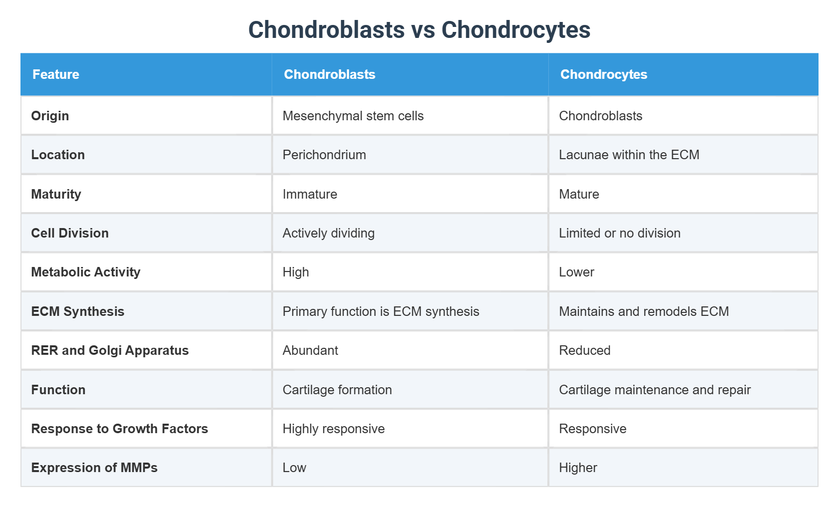 Chondroblasts vs Chondrocytes