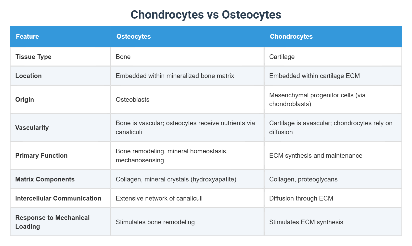 Chondrocytes vs Osteocytes