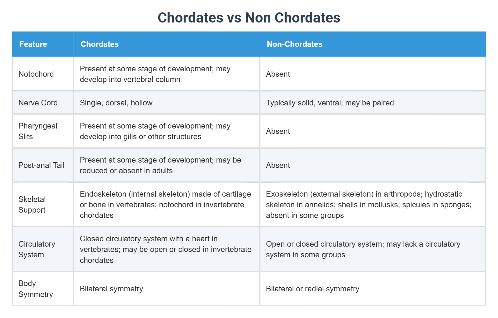 Chordates vs Non Chordates